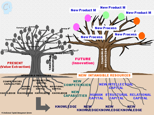 Intellectual capital management systems