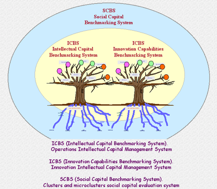 Intellectual capital management systems